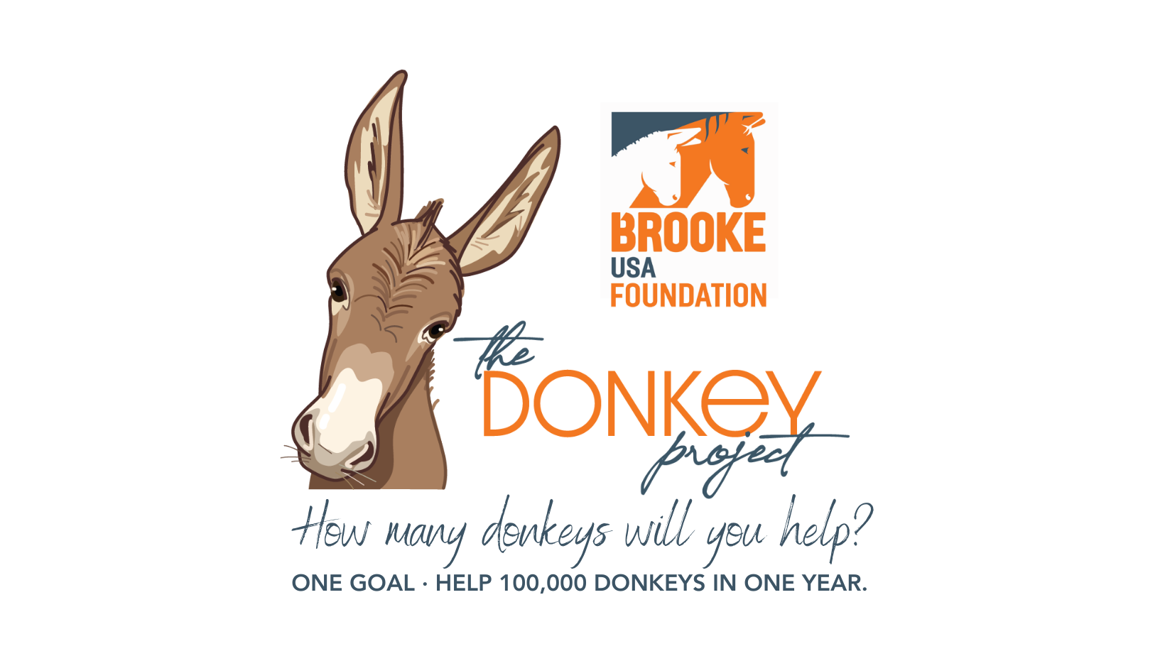 The Donkey Project Update - July 2023 — Brooke USA
